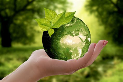 Estrategias Empresariales Para La Sostenibilidad Ambiental