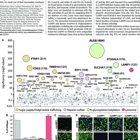 Reconstruction Of A Late Ediacaran Reef 1 Thrombolite 2 Neptunian