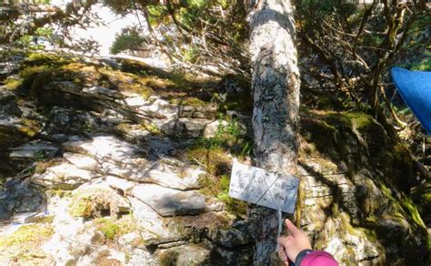 七座南湖大山群峰D3 主峰南峰巴巴山 健行筆記