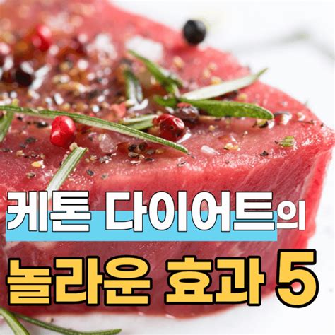 간헐적 단식 방법 중 16대8 다이어트의 효과 및 주의할 점 버디헬스