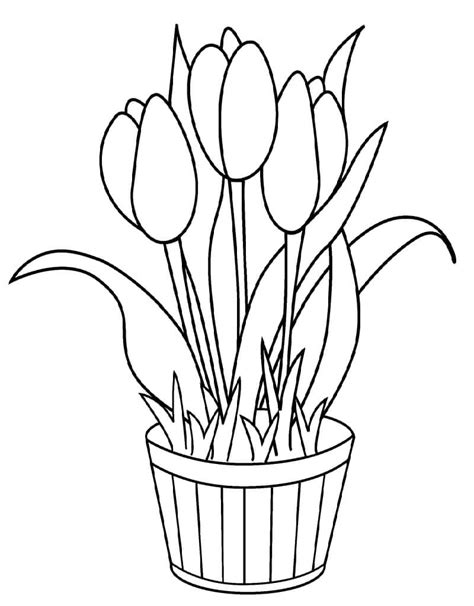 Desenhos De Flor De Tulipas Para Colorir E Imprimir ColorirOnline