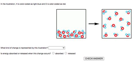 Solved In The Illustration H Is Color Coded As Light Blue Chegg