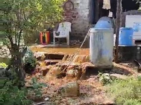 Sehore About 900 Kg Mahua Lahan Destroyed सीहोर पुलिस की कार्रवाई
