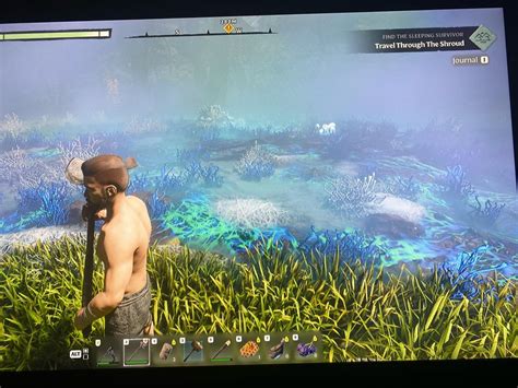 Enshrouded Removal R Enshrouded