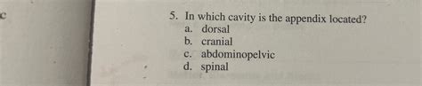 Solved In Which Cavity Is The Appendix Located A Dorsalb Chegg Com