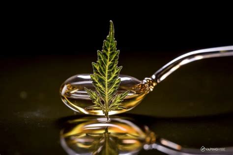How Much Do Carts Cost A Look At THC Delta 8 CBD Vape Carts Pricing