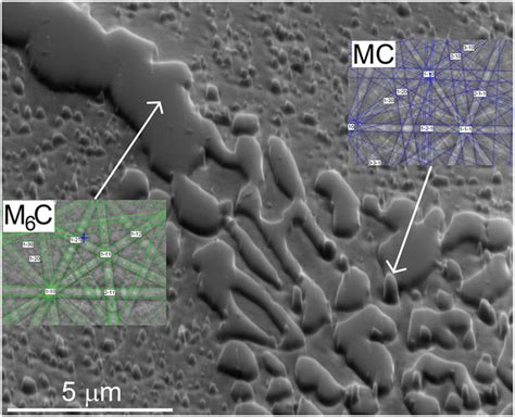 Microstructure Development During Annealing At 1150 °c For 60 Minutes Download Scientific