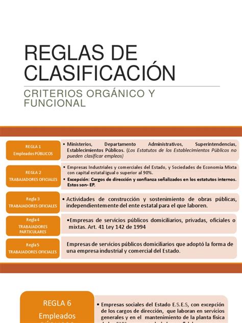 2020 Criterios Organico Y Funcional Pdf