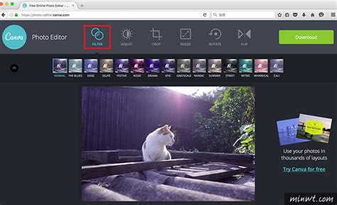 Canva Photo Editor免費線上照片編輯平台特效裁切縮放 一應具全 梅問題教學網
