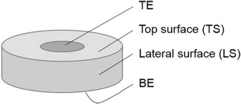 Geometry Of The 2d Rotational Symmetric Model The Oxide Light Grey