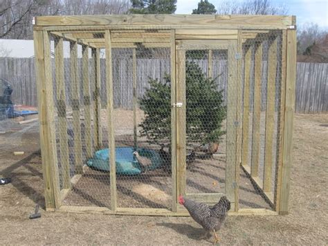 29 Best Images About Raising Quail And Pheasants On Pinterest