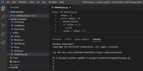 Python While Loop Example Python Guides