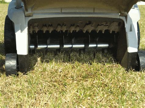 Whats The Best Time To Aerate And Overseed A Lawn