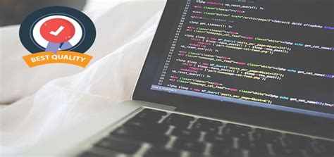 Can You Become A Programmer Without Learning Testing