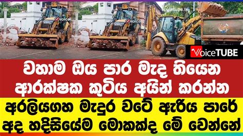 අරලියගහ මැදුර වටේ ඇරිය පාරේ අද හදිසියේම මොකක්ද මේ වෙන්නේ Youtube