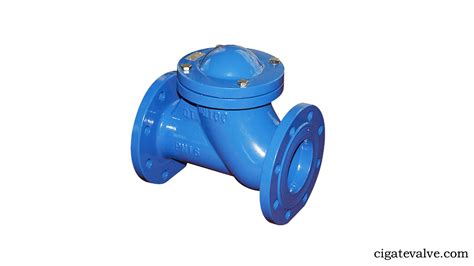 What Is A Check Valve 8 Essential Types For Ensuring Unidirectional Flow