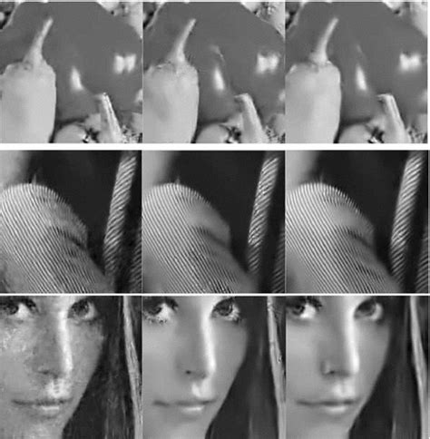 Visual Comparison Of Adaptive Versus Fixed Patch Size Stochastic