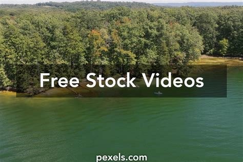 Belledelphineintheforest Videos Download The Best Free 4k Stock