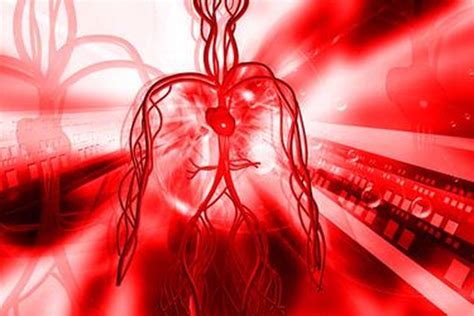 5 Cara Mudah Dan Sederhana Mengetahui Kondisi Kesehatan Tubuh Cek