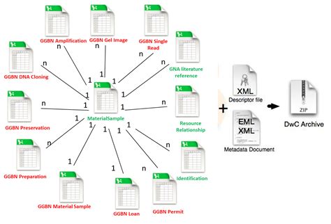 Dwc Ggbn Wiki