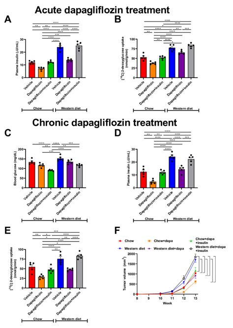 Dapagliflozin Slows Spontaneous Tumor Growth In Mmtv Pymt Mice Through