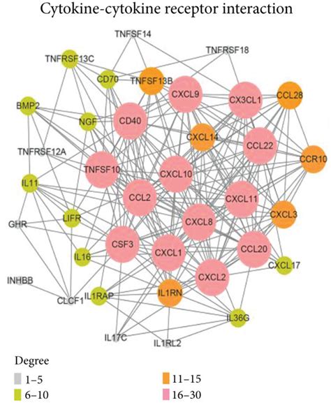 A Correlation Network Establishment Kegg Pathway Dataset Was
