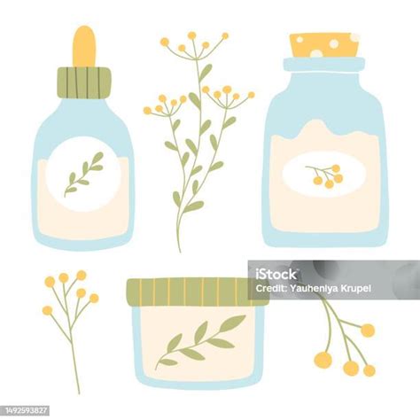 천연 화장품 세트 피부 관리를위한 유기농 화장품 컬렉션 허브 화장품 건강관리와 의술에 대한 스톡 벡터 아트 및 기타 이미지 건강관리와 의술 건강한 생활방식 깨끗한