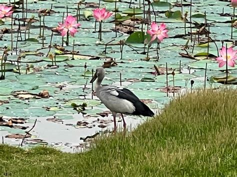 Suresh Raju Posted On Linkedin