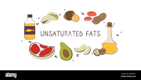 Monounsaturated Polyunsaturated Fats Stock Vector Images Alamy