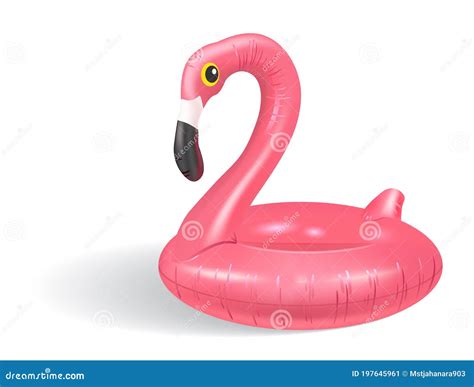 Flamingo Swim Tube Stock Vector Illustration Of Flamingo 197645961