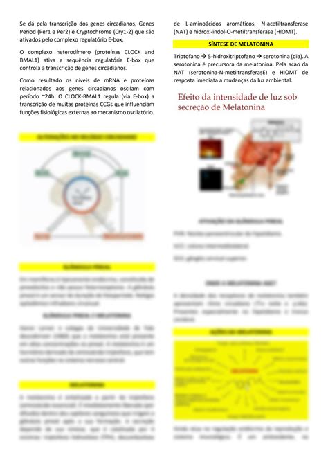 SOLUTION Mecanismos Neurais Do Sono E Vig Lia Studypool