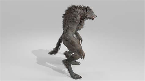 Detailed Werewolf Rigged 3d Model Turbosquid 2006488