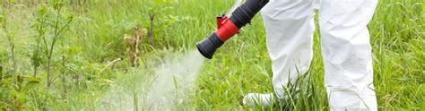Lawn Disease Treatment Best Lawn Disease Treatment