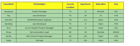 Project Manager Hotlist Java Developer Qa Lead Scrum Masterproject