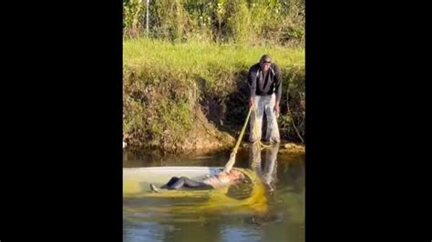Paragliders Quick Thinking Helps To Save Womans Life Netizens Call