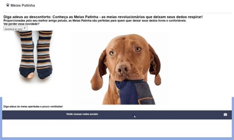 Curso Básico De Html E Css Como Construir Uma Landing Page