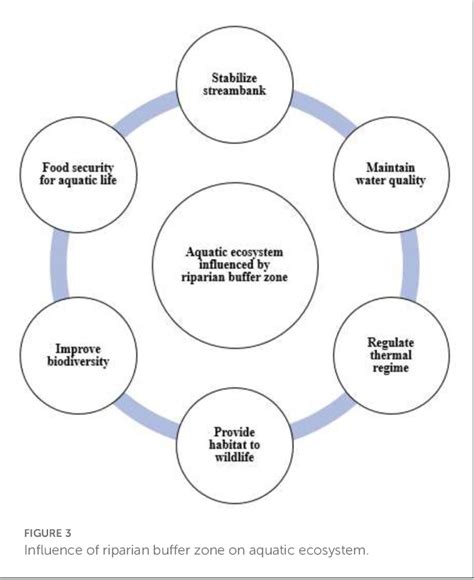 Figure 3 From Application Of Riparian Buffer Zone In Agricultural Non