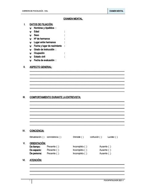 Esquema Examen Mental Pdf Salud Mental Psicología Cognitiva