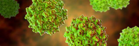 Proinflammatory Cytokine Evaluation From Human Pbmcs In Response To
