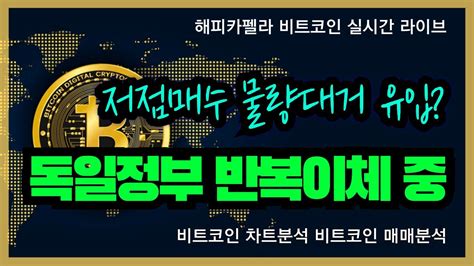 비트코인 실시간반복되는 독일정부 이체 비트 저점매수 물량 대거 유입 79 저녁💎비트코인 비트코인실시간 이더리움 리플