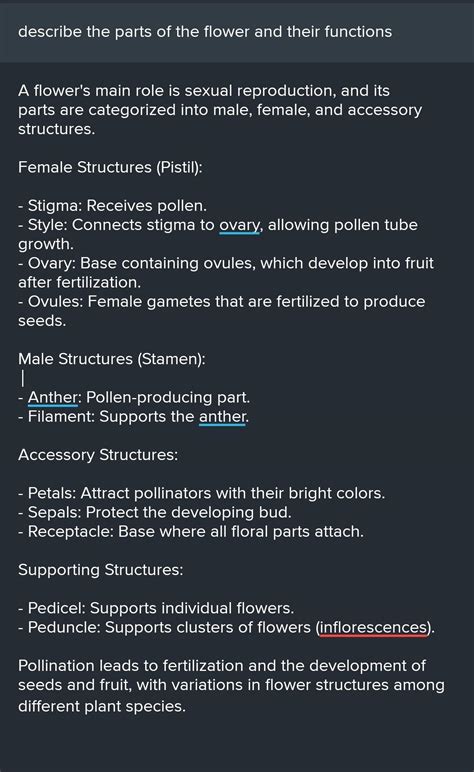 Describe The Parts Of The Flower And Their Functions Brainly Ph