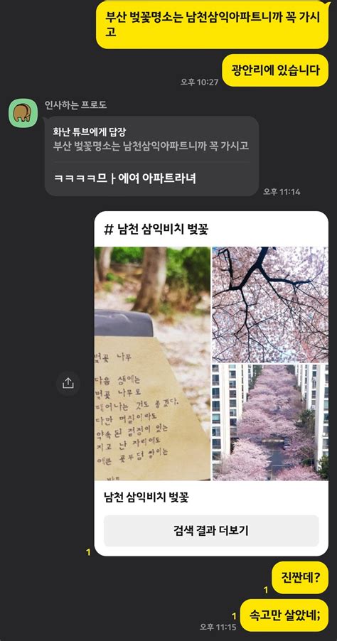 부산 벚꽃 명소 추천해달라길래 농구 에펨코리아