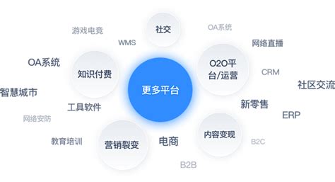 软件定制开发 软件定制 软件外包服务 app定制 小程序定制 itit布雷泽科技