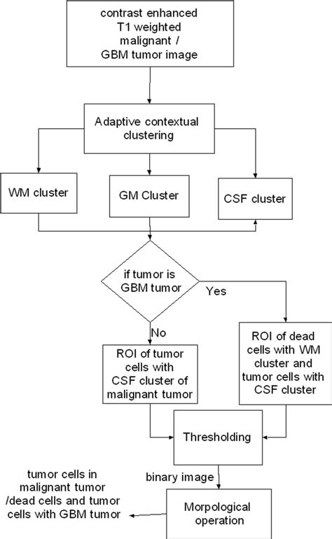 Automatic Malignant Brain Tumor And Glioblastoma Brain Tumor Detection