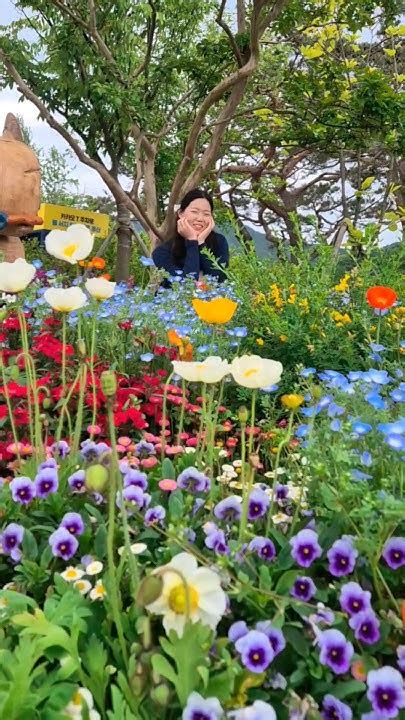 한국에서 보기 힘든 네모필라꽃 보고왔어요💙 Youtube