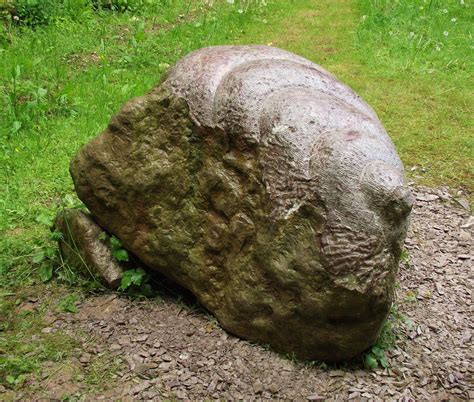 YoungManGoneWest: Shell - Rock - Shell