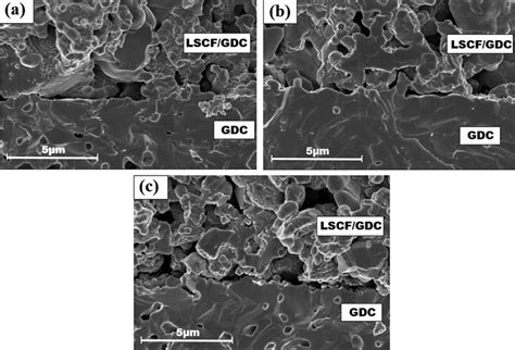 E Microstructure Of A Cross Section Of A Cathode Gdc Interlayer After Download Scientific