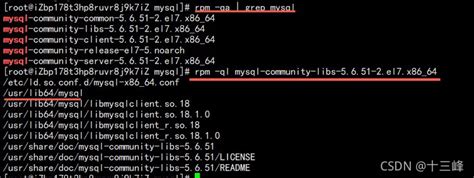 Linux中mysql启动异常解决：table Er Doesnt Exist Csdn博客
