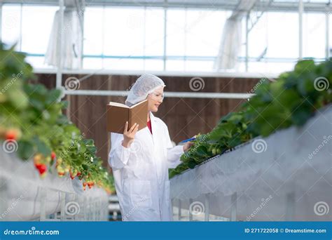 Young Asian Woman Check Cultivation Strawberry With Happiness For