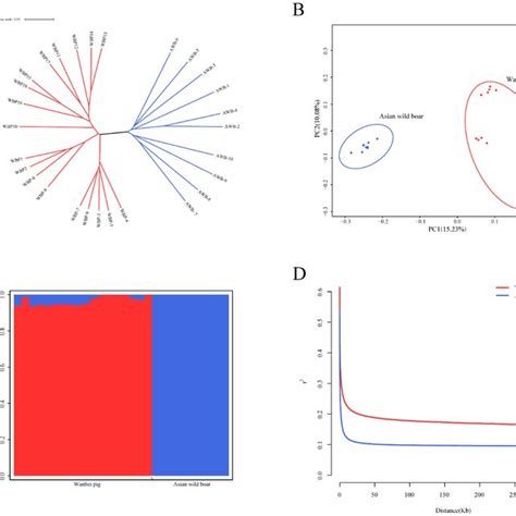 Population Structure And Ld Analysis A Neighbor Joining Tree